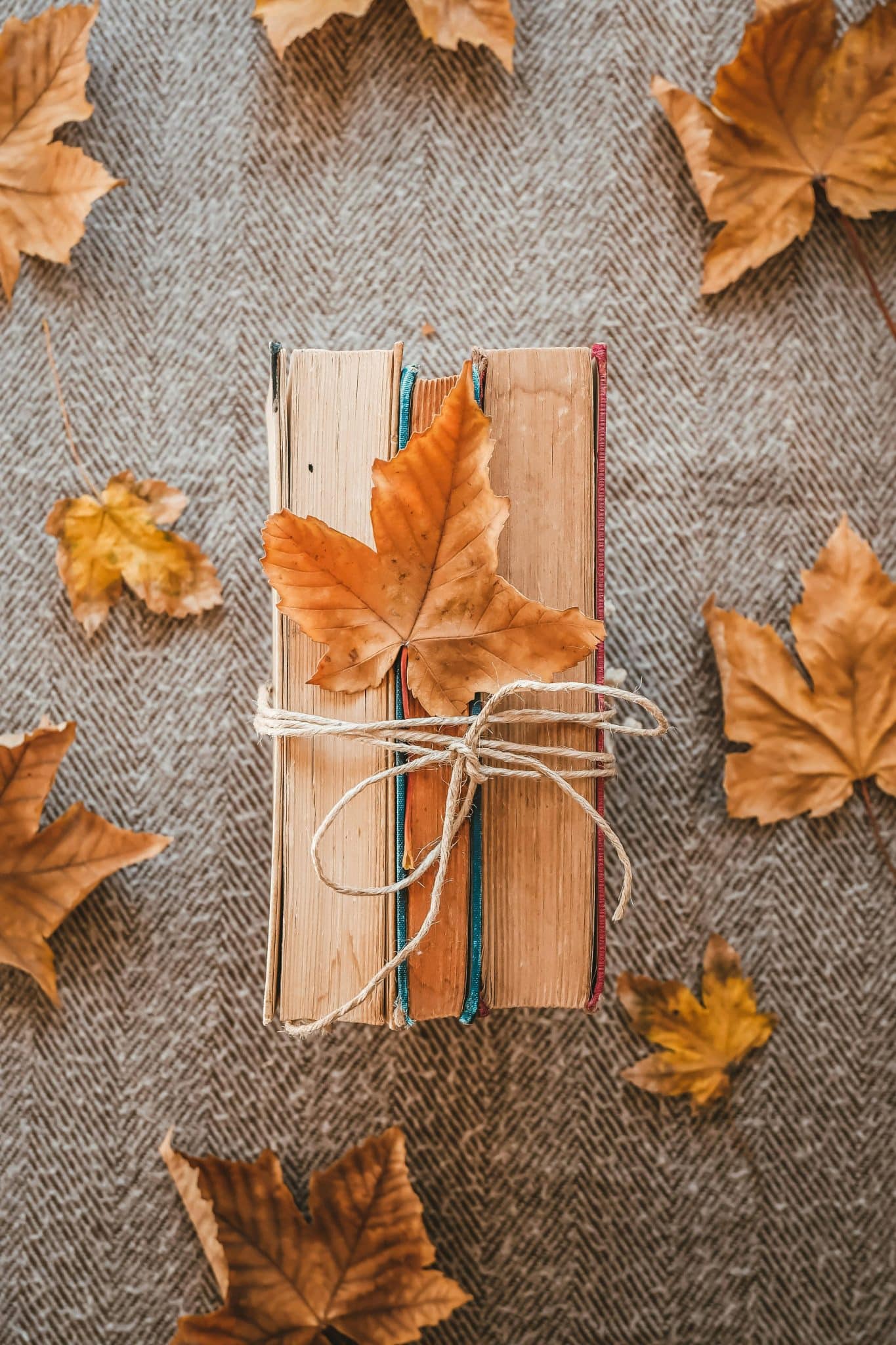 5 Best Books That Will Get You Into The Fall Mood - GirlSpring